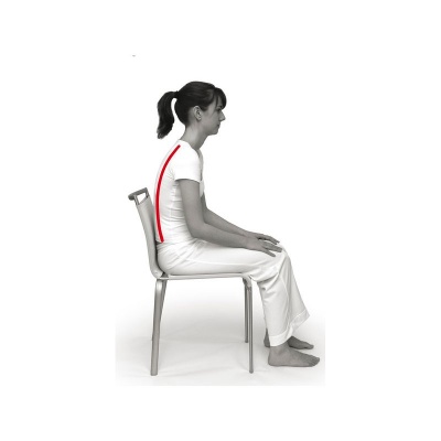 Sissel Sit Standard Posture Support Seat Wedge - Think Sport